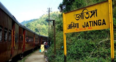 Jatinga - Birds Mystery Suicides Occurs Every Year