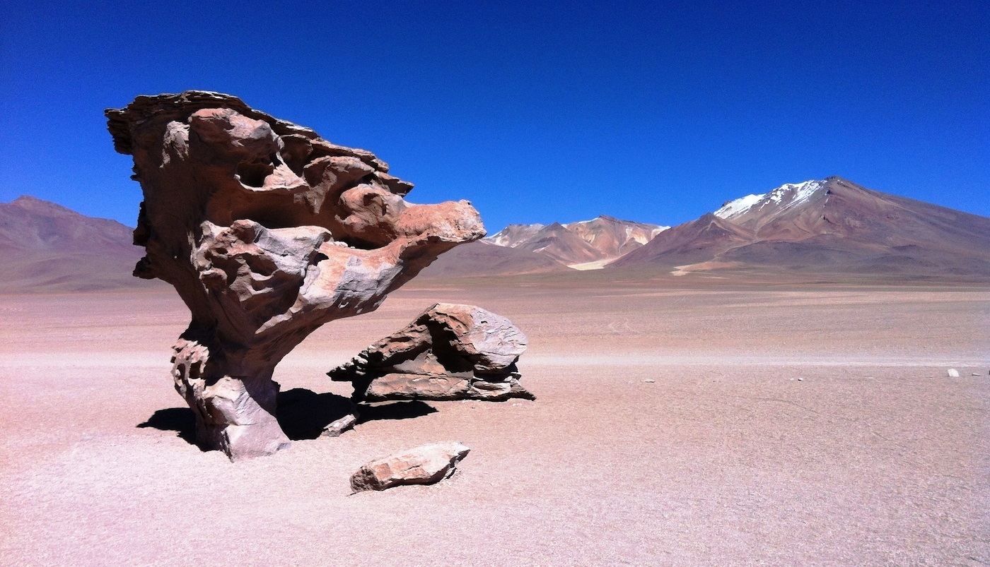 The Magical Stone Trees of Bolivia