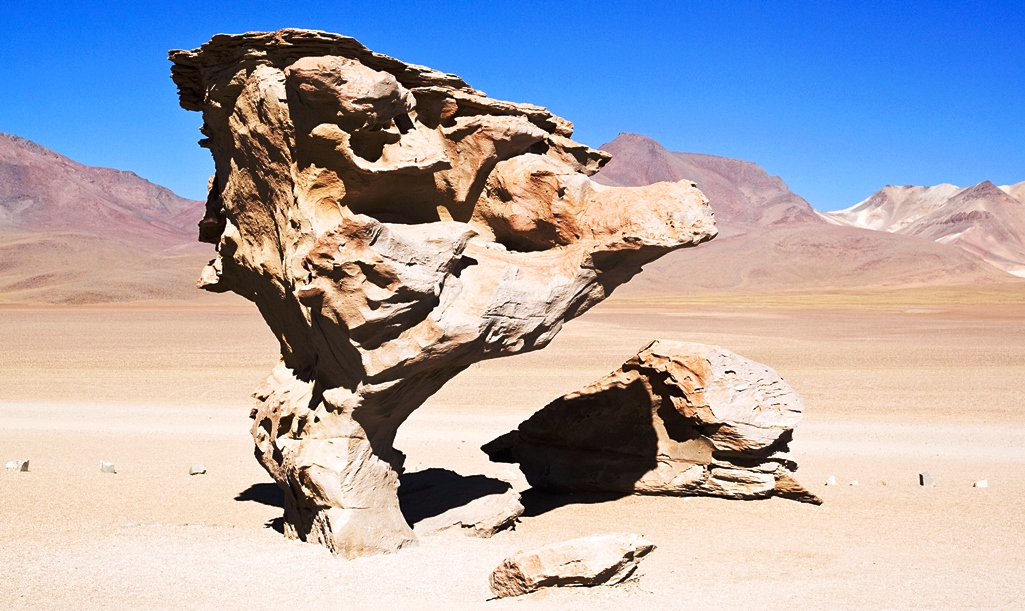 The Magical Stone Trees of Bolivia