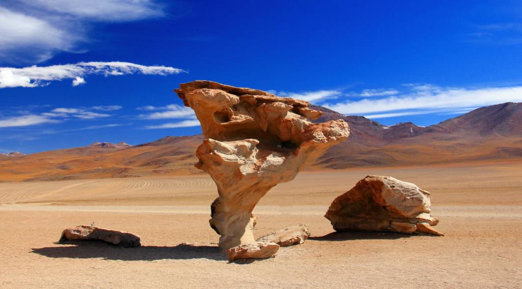 The Magical Stone Trees of Bolivia
