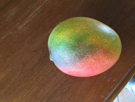 21 The Strange Satisfying Food Photos
