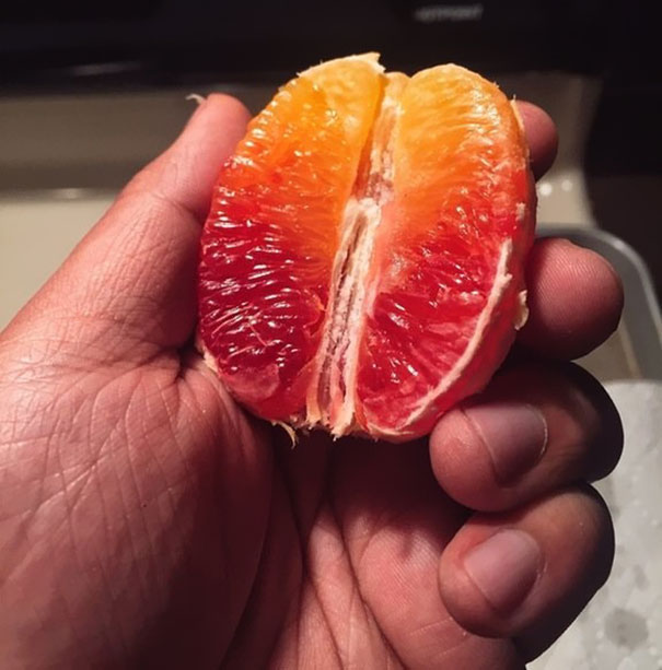 21 The Strange Satisfying Food Photos