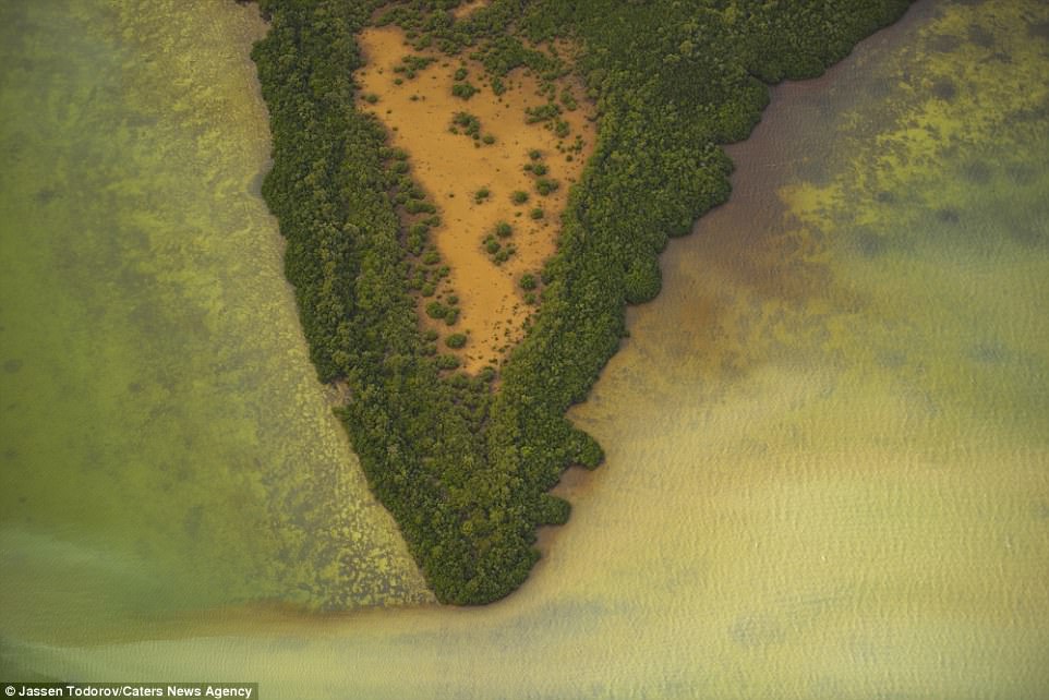 Rare Bird’s Eye View of American Landscape
