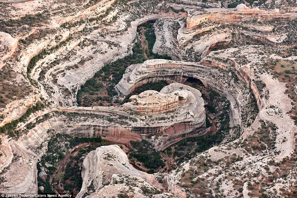 Rare Bird’s Eye View of American Landscape