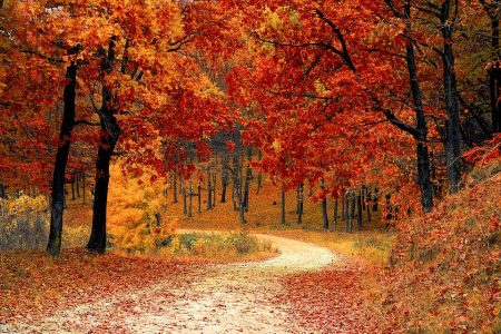The Stability in Nature