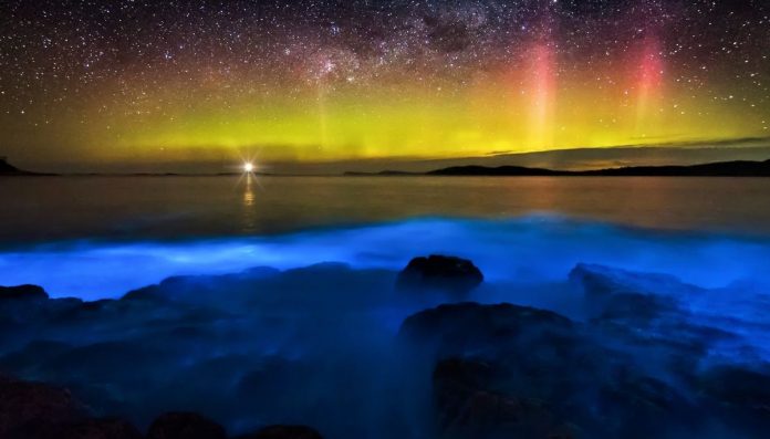 Vaadhoo Island – The Sparkling Sea of Stars