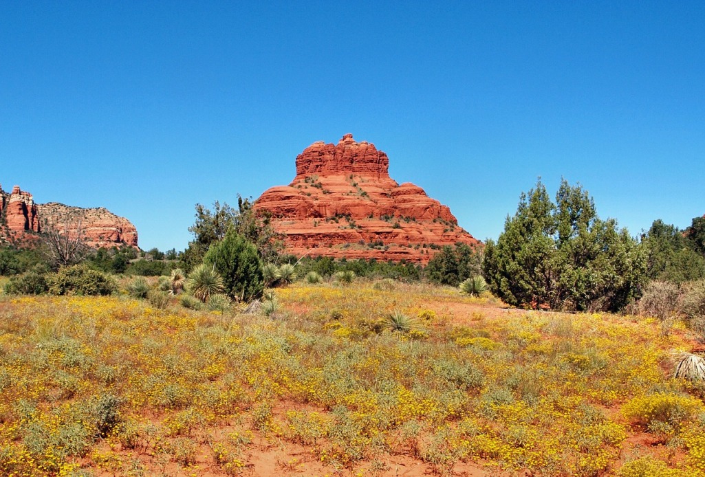 Bell Rock Sedona: A Breathtaking Scenic Landmark