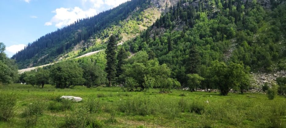 Shahi Bagh: Best Place to Visit in Utror, Kalam